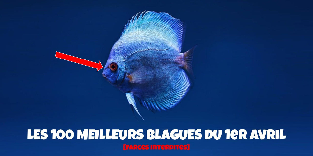 Blague 1er Avril : 100 Idées Interdites | Farce et Attrape Shop